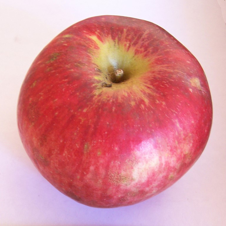 Liste des variétés de pommes