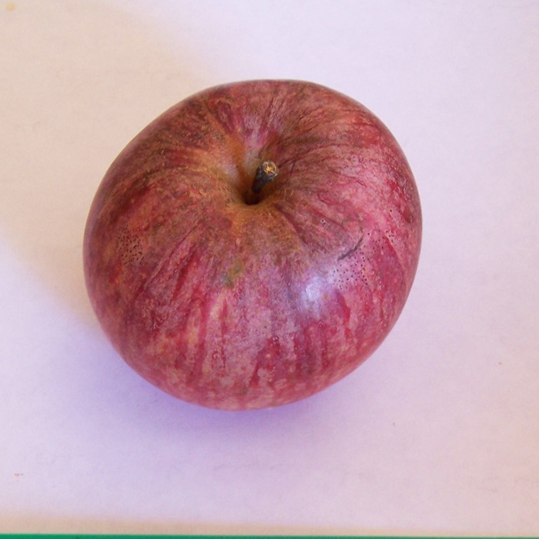 Liste des variétés de pommes